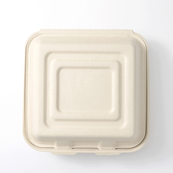Bagasse Clamshell: A Sustainable Food Packaging Solution - Qiaowang