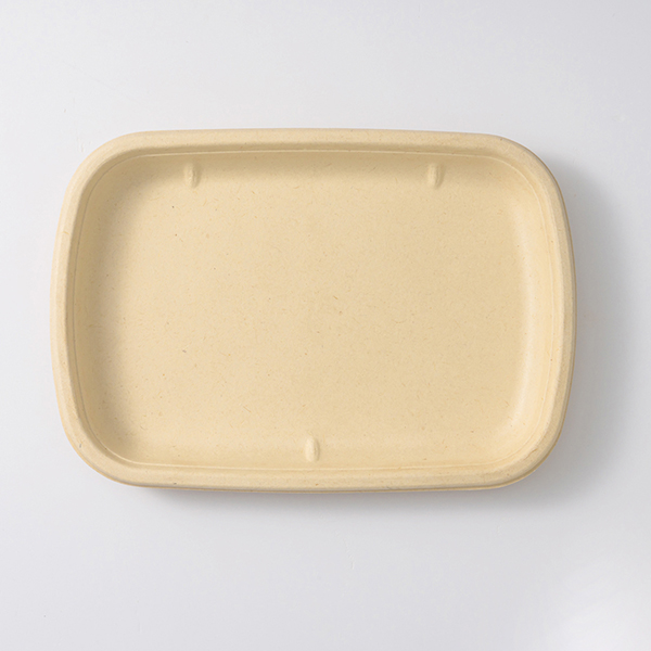 Eco-friendly 210mm Rectangle Compostable Fruit/Vegetable/Meat Tray QW-T ...