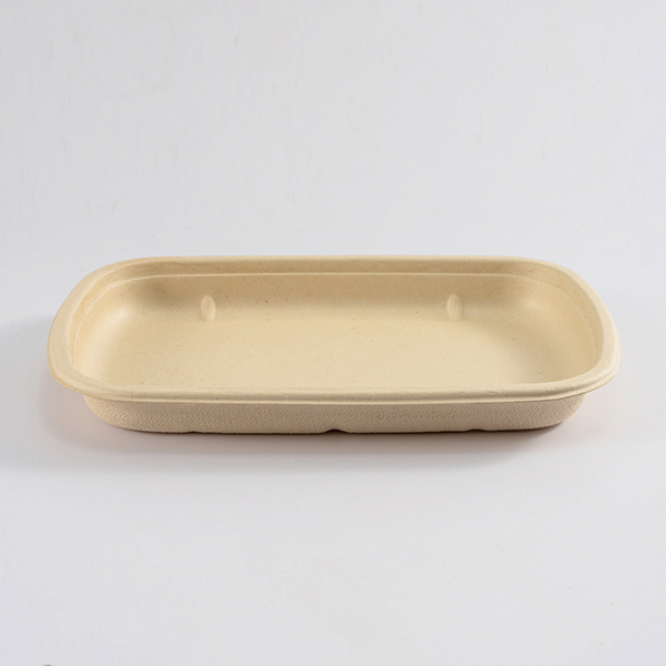 Eco-friendly 210mm Rectangle Compostable Fruit/Vegetable/Meat Tray QW-T ...