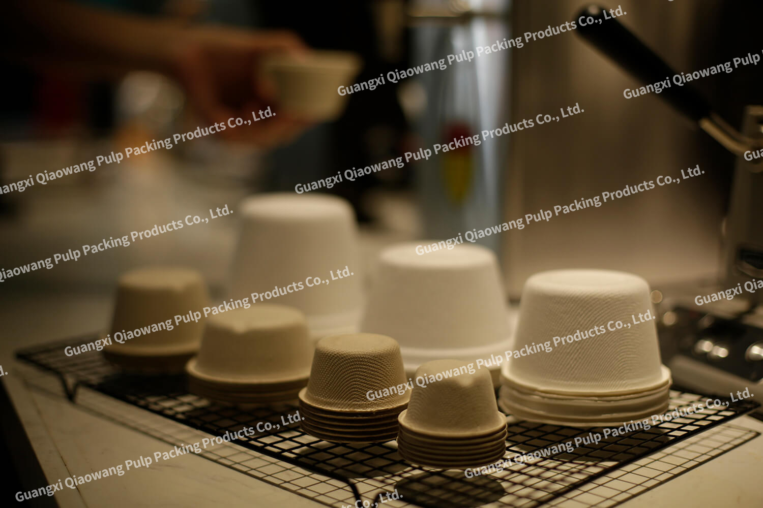 Qiaowang Bagasse Pulp Packing: Introducing Eco-Friendly Sugar Cane ...